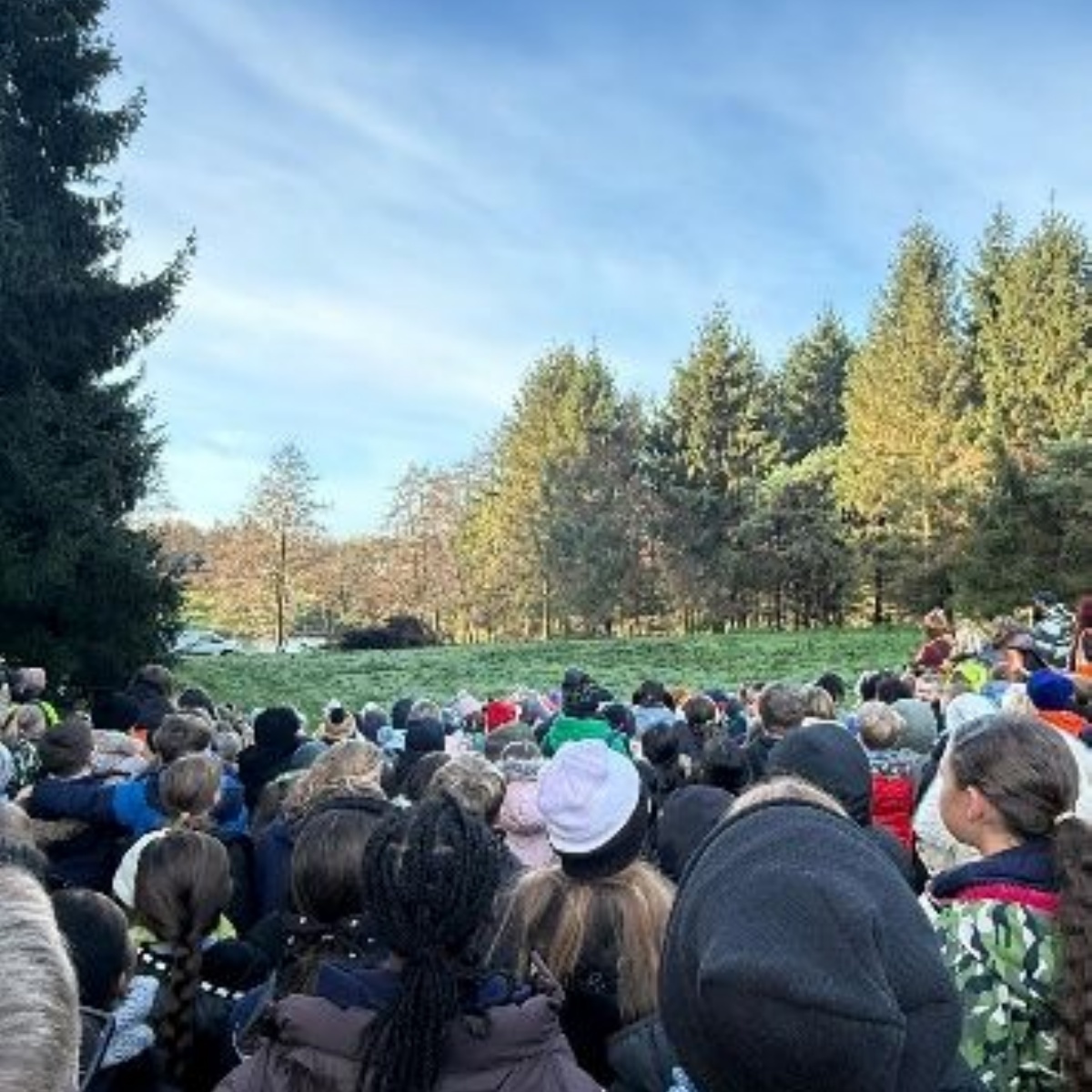 High Ash C of E Primary - Christmas tree walk